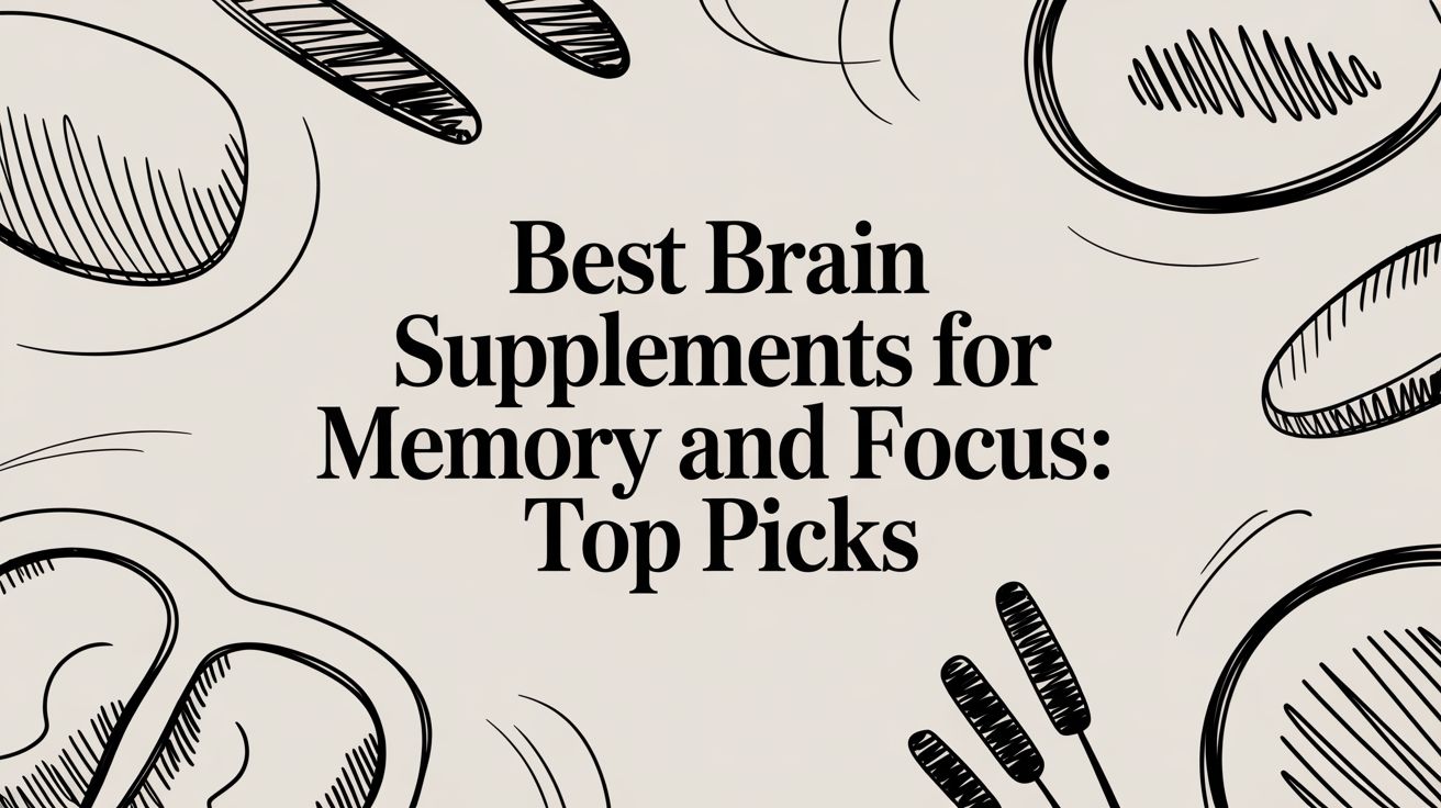 Best brain supplements for memory and focus: top picks – Dialed In ...